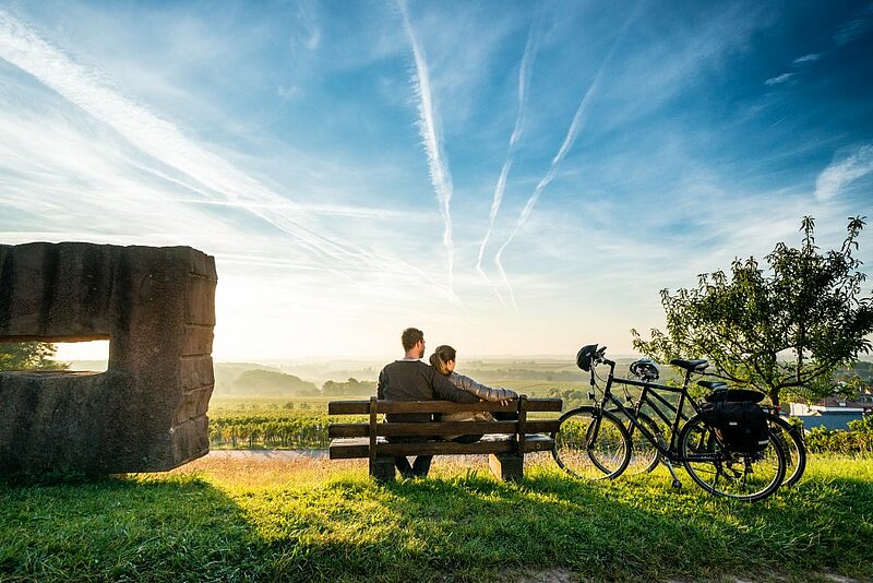 Radreisen auf der Deutschen Weinstraße