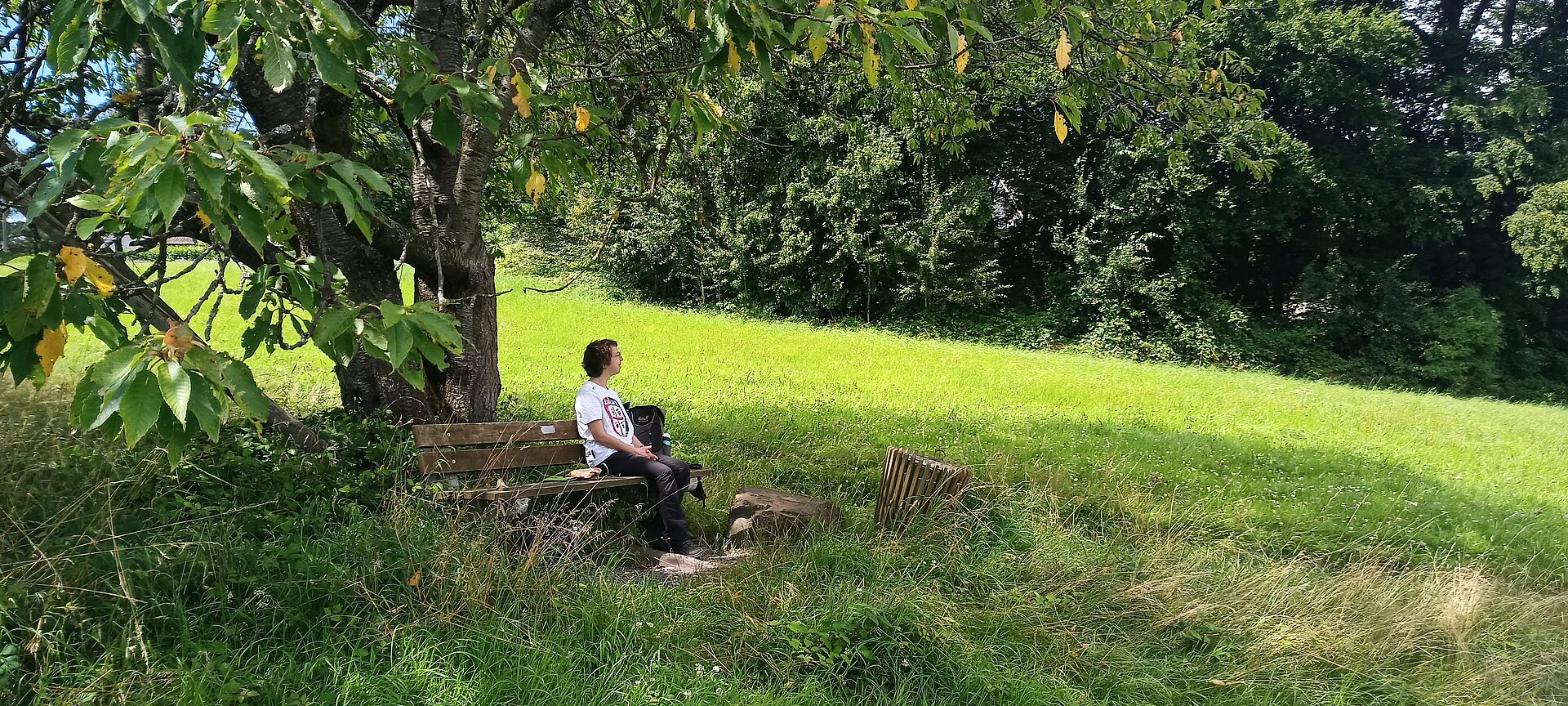 Radreisen am Beuys & Bike-Route